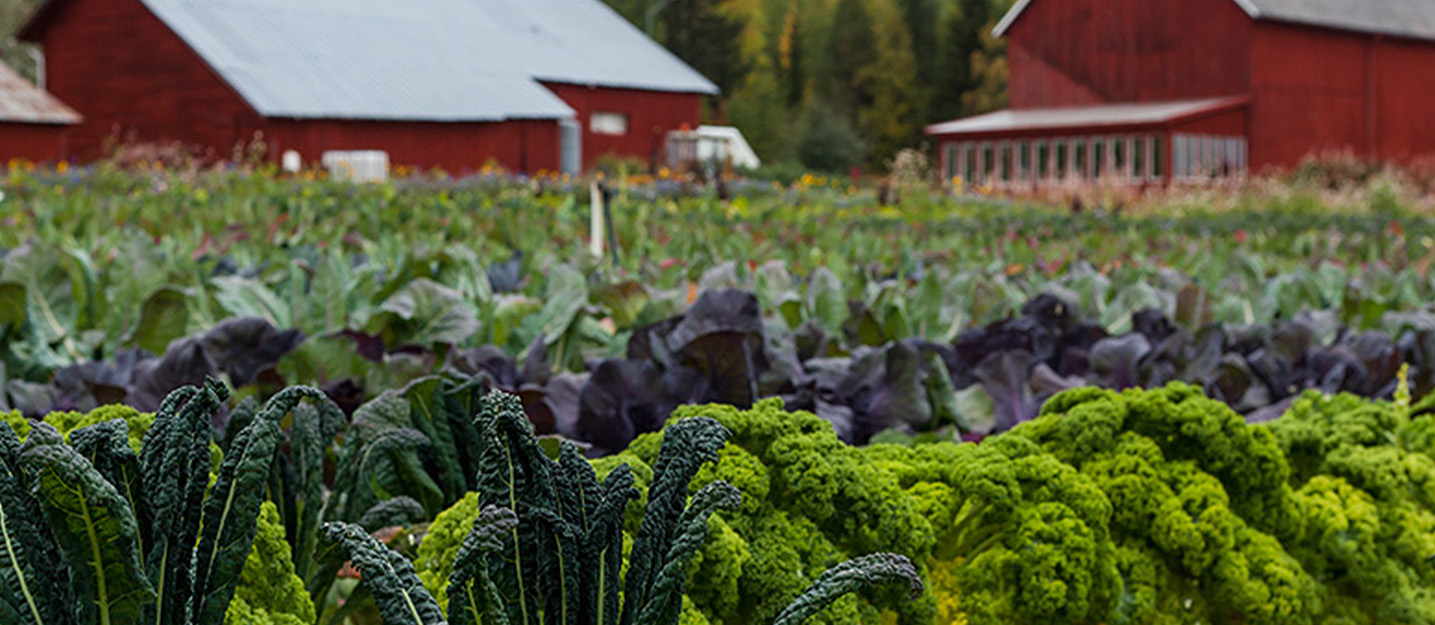 Policy Recommendations to Balance the U.S. Agricultural Trade Deficit ...